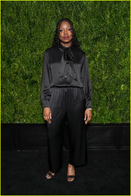 Lily James Joins Joe Jonas, Lucy Liu, & More Stars at Chanel Tribeca ...