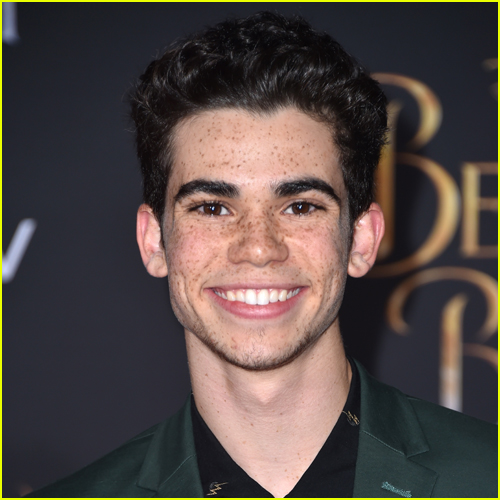 Former Disney Channel Stars Who Sadly Passed Away | Cameron Boyce ...