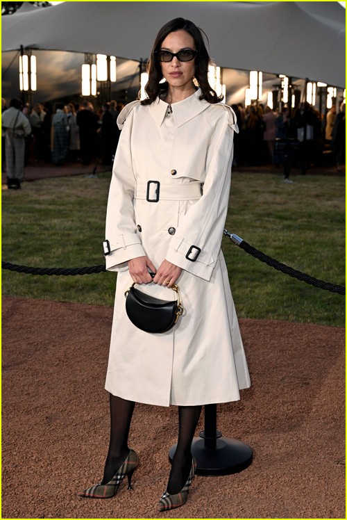 Jonathan Bailey, Jason Statham, Rosie Huntington-Whiteley, & More ...