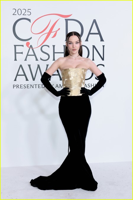 Every Celebrity Look from CFDA Awards 2025 That You Need to See ...